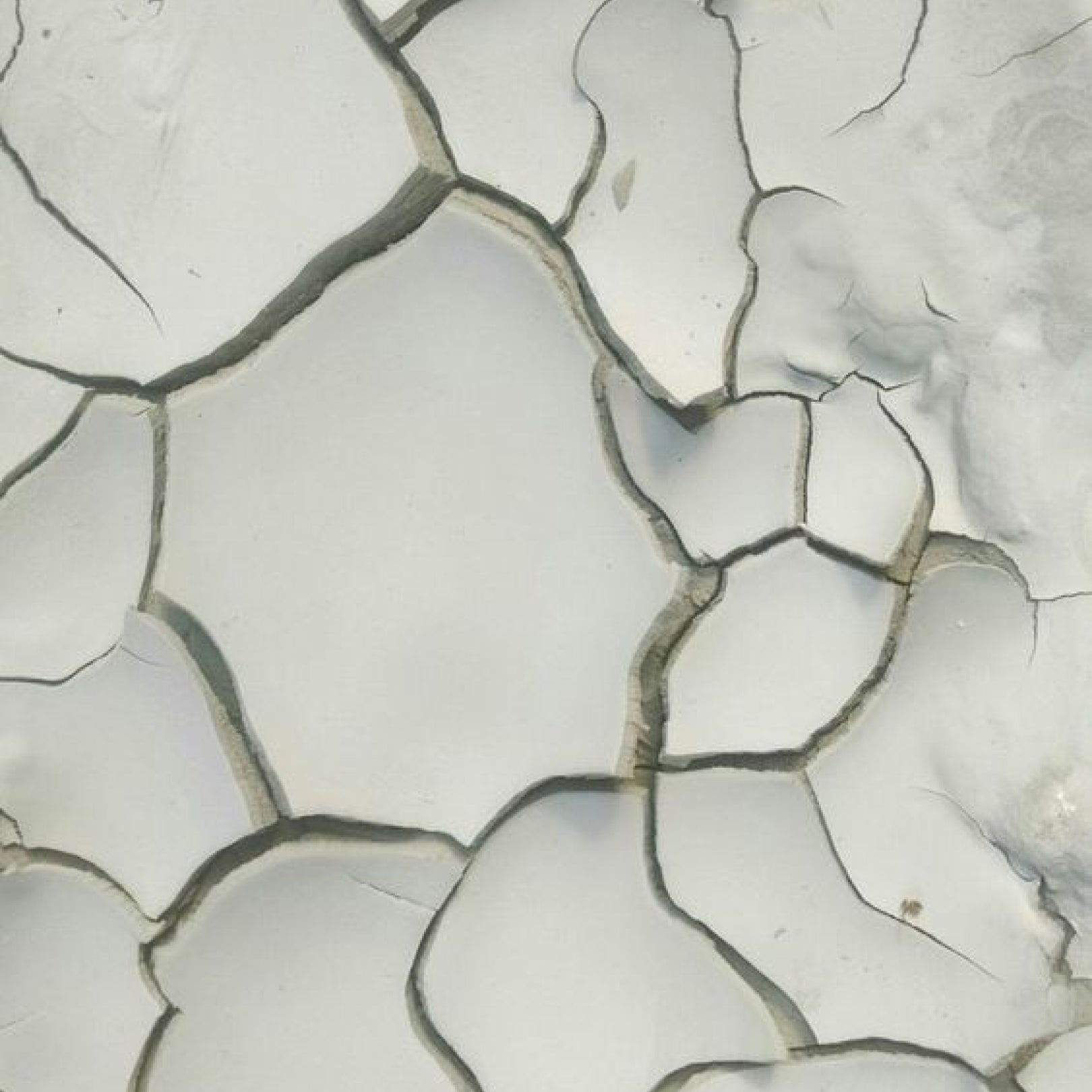 COMMENT LUTTER CONTRE LA SÉCHERESSE CUTANÉE L'ÉTÉ ? - HOLITE
